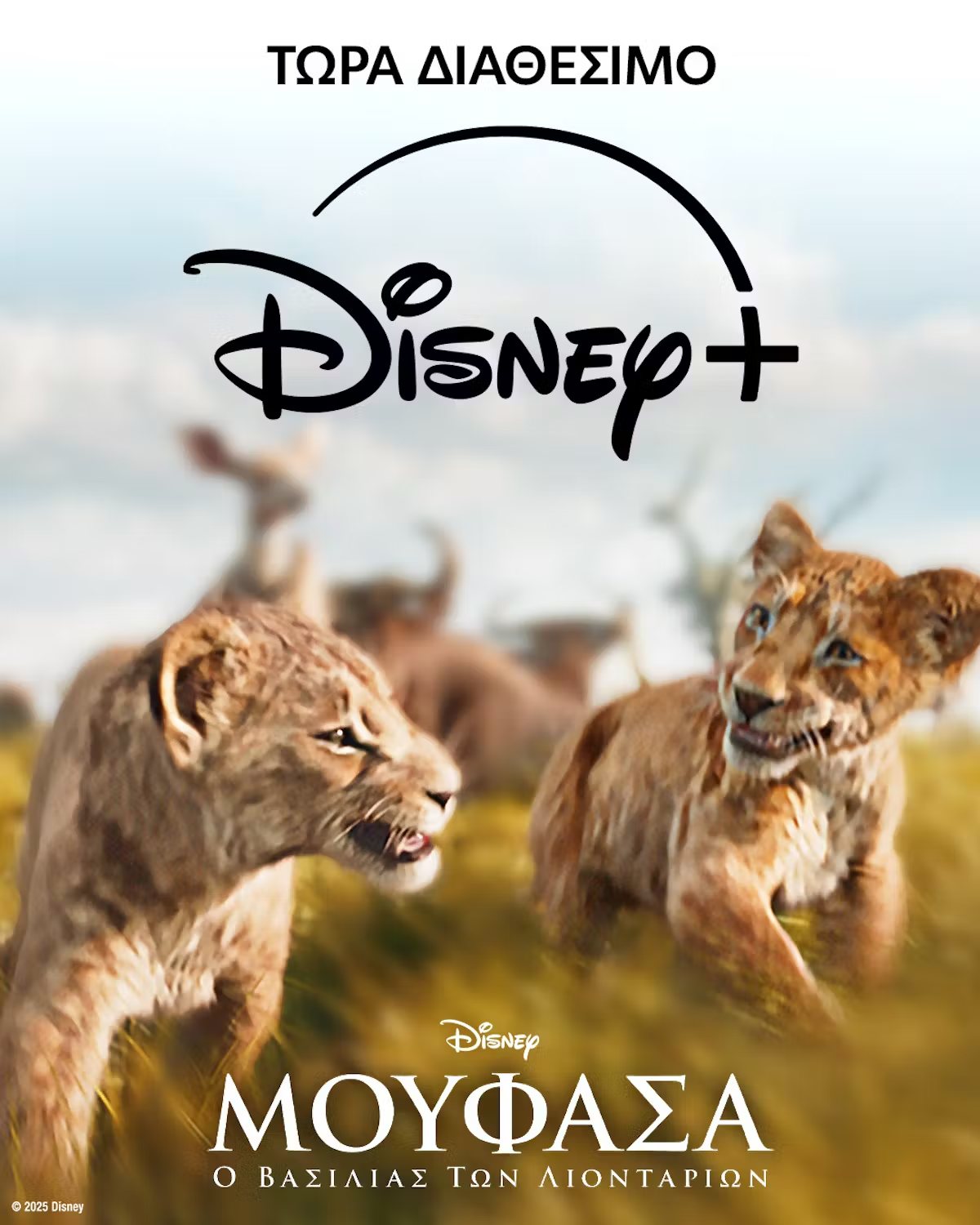 Η ΤΑΙΝΙΑ ΤΗΣ DISNEY «ΜΟΥΦΑΣΑ: Ο ΒΑΣΙΛΙΑΣ ΤΩΝ ΛΙΟΝΤΑΡΙΩΝ» ΕΙΝΑΙ ΤΩΡΑ ...